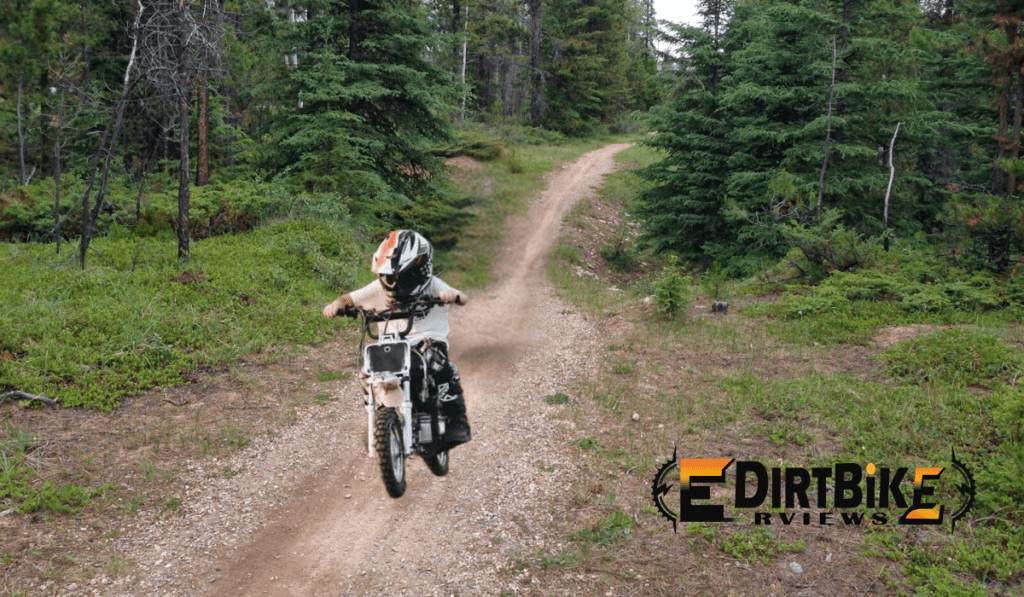 Electric vs Gas Dirt Bikes: A Comprehensive Guide for Adult Riders ...